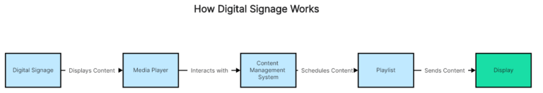 Digital signage guide; everything you need to know | Escreen